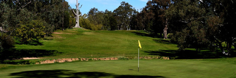 Golf Course – Axedale Golf Club